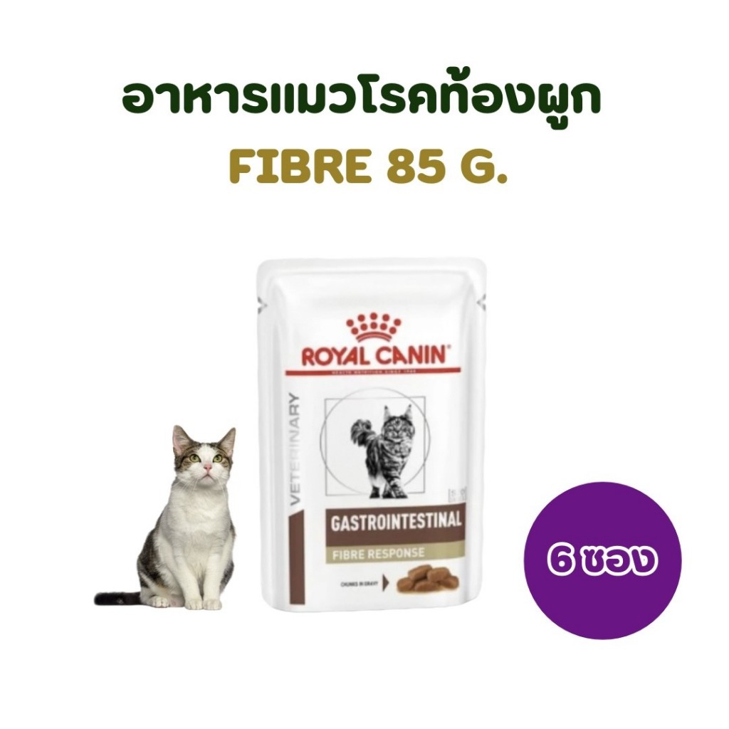 (Expiration Date: 09/05/2027) royal canine Wet Cat Food Constipation ...