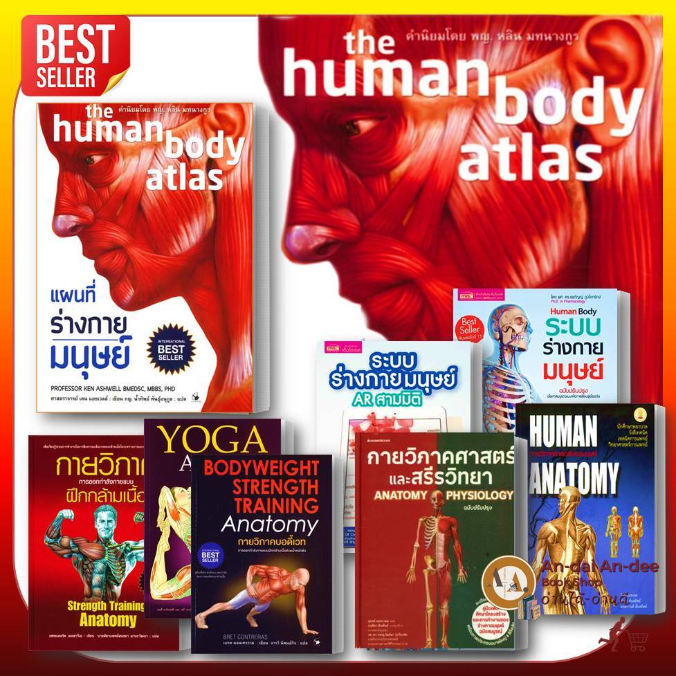 Book Map Human Body HUMEN ANATOMY/Yoga/Exercise/System/And Physiology ...