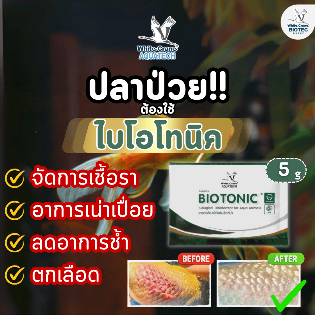 BioTonic Bio Tonic Biological Substances Caused By Fungi And Rot 5 G ...