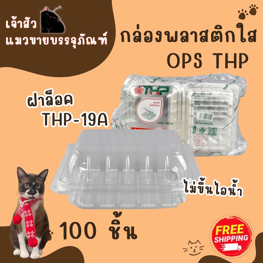 Great Value Crates!!!! Clear Plastic Box Lock OPS THP-19A The Is Non ...