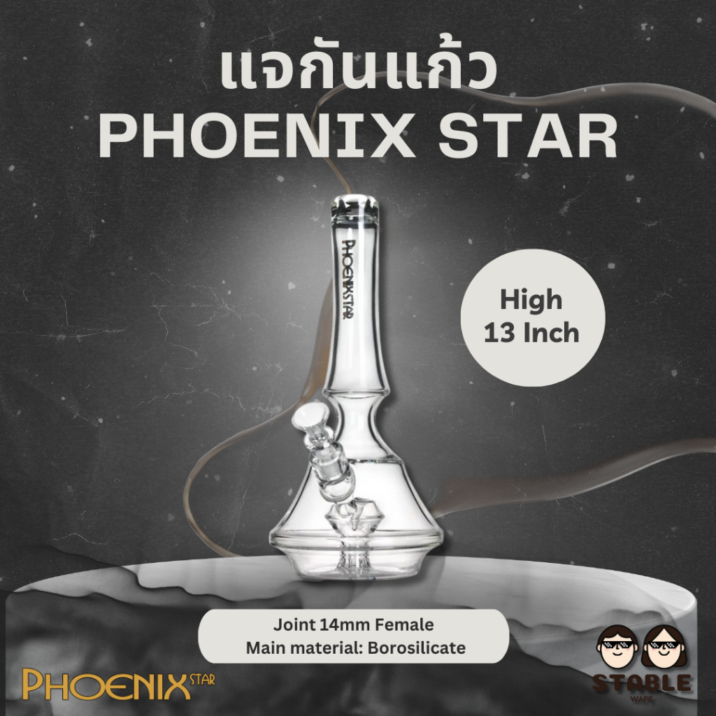 (Express Delivery 24 H.) Phoenix Star Glass Vase | Shopee Malaysia