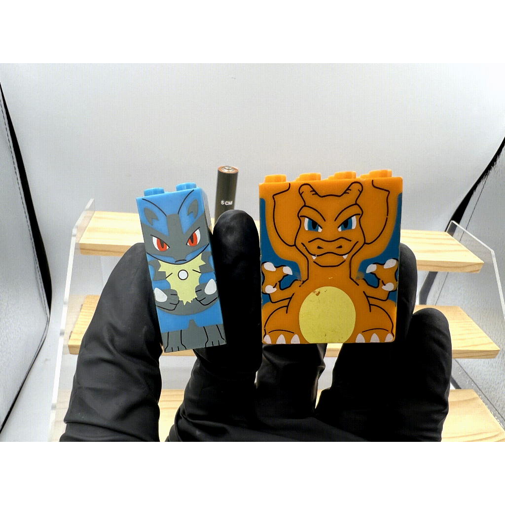 Pokemon Mega Bloks: Charizard and Lucario | Shopee Malaysia