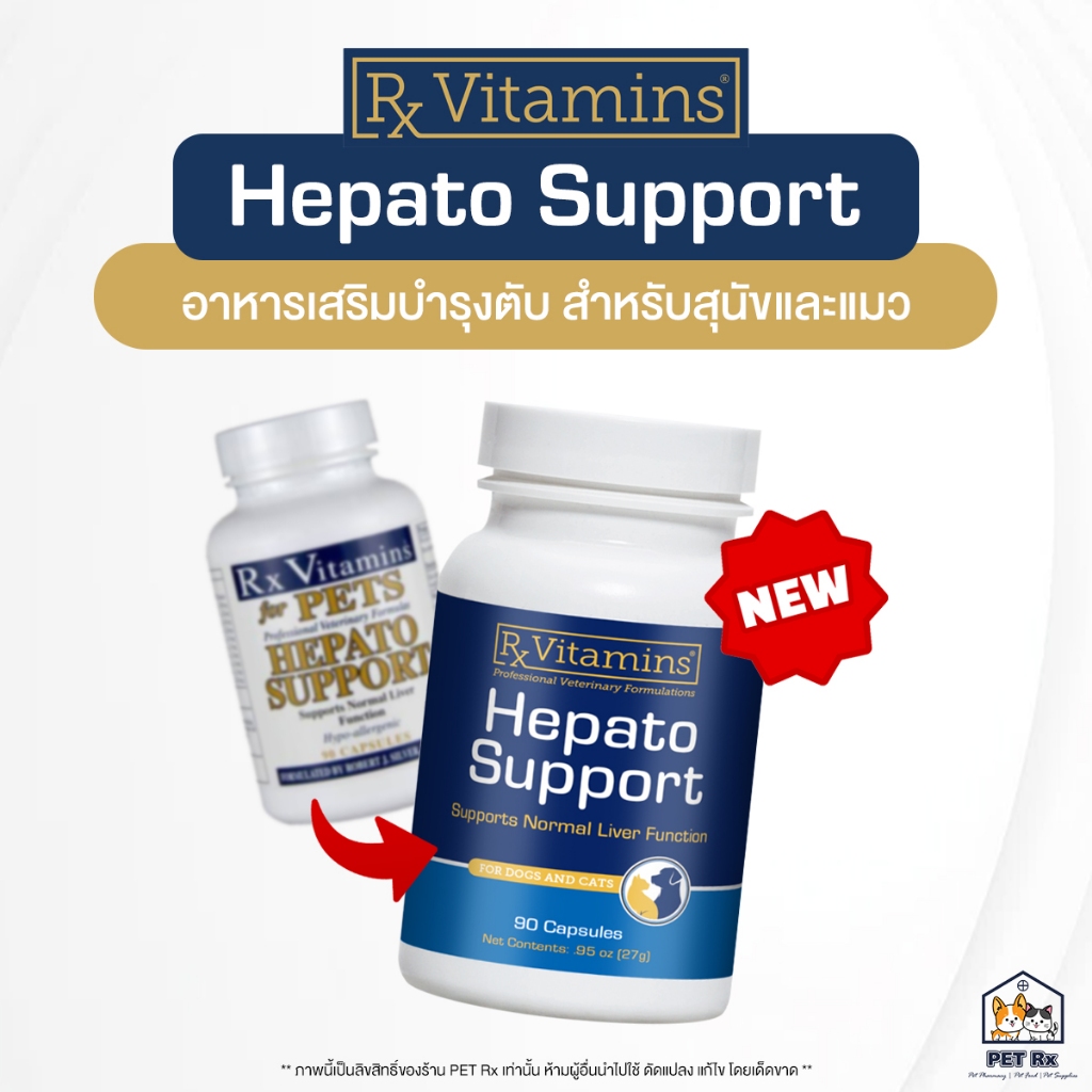 [Jar Lift Up!] Hepato Support [Authentic] New Package! Liver Supplement ...