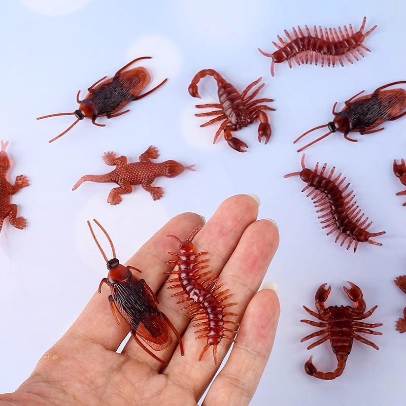 Urgent From Bangkok Fake Cockroaches Insects Small Animal Centipede ...