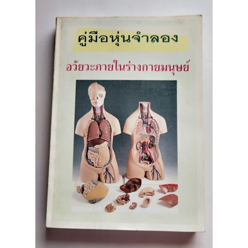 Human Body Internal Organ Figurine Model Manual | Shopee Malaysia