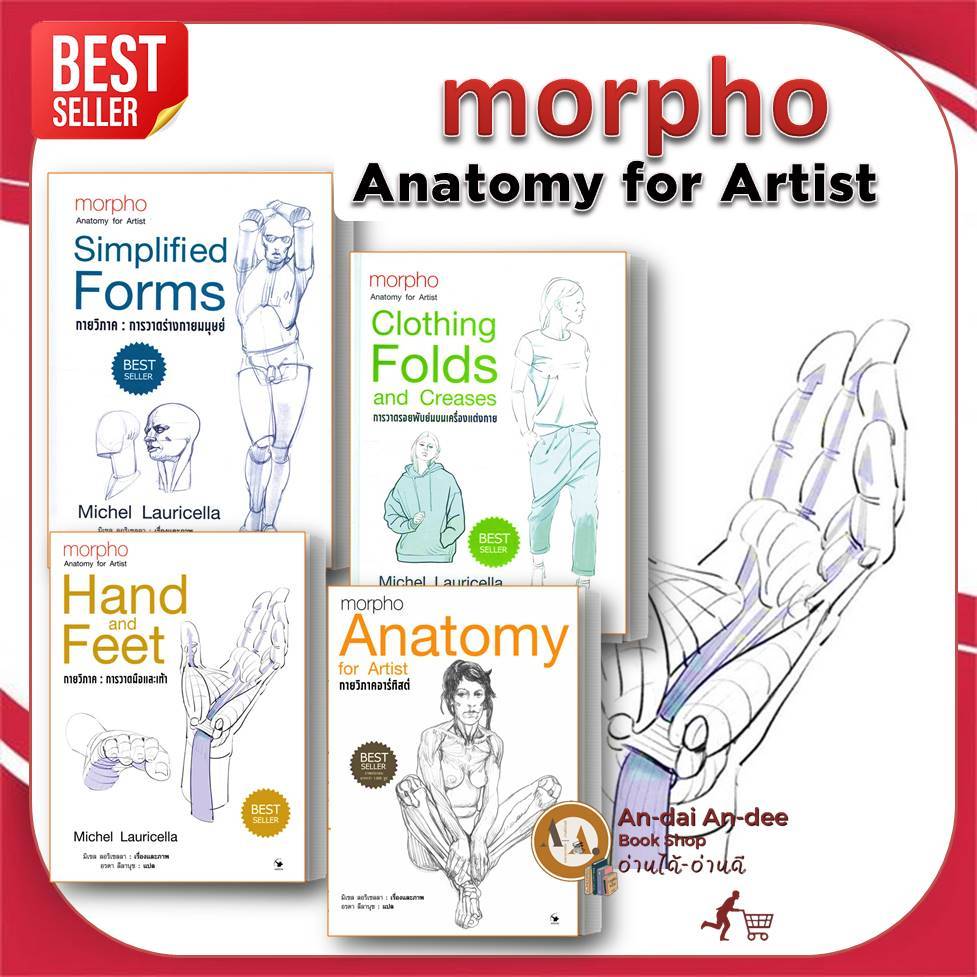 Anatomy Hand And Foot Drawing/Human Body Split Book Teaching Posture ...