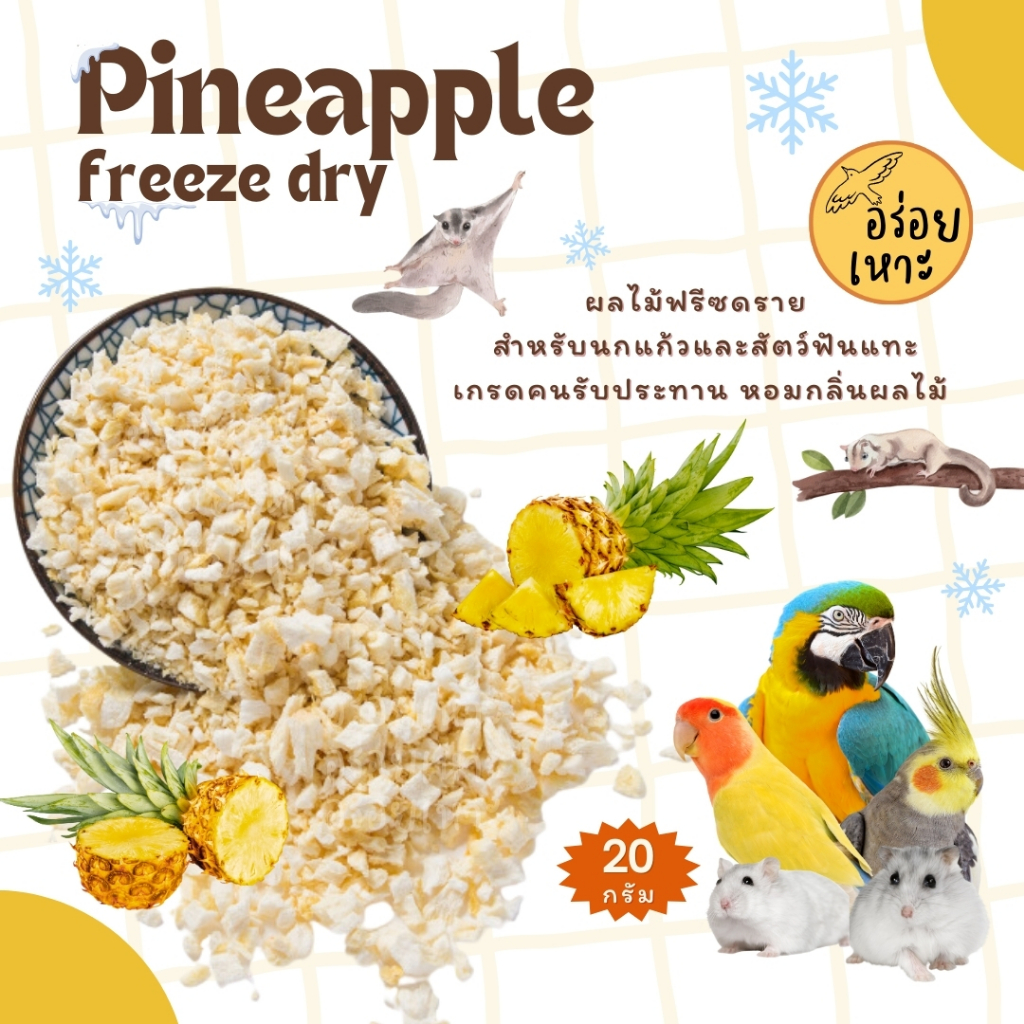 Pineapple Freeze Dried Sugar Parrot Food Rider Hamster And Rodents (20G ...