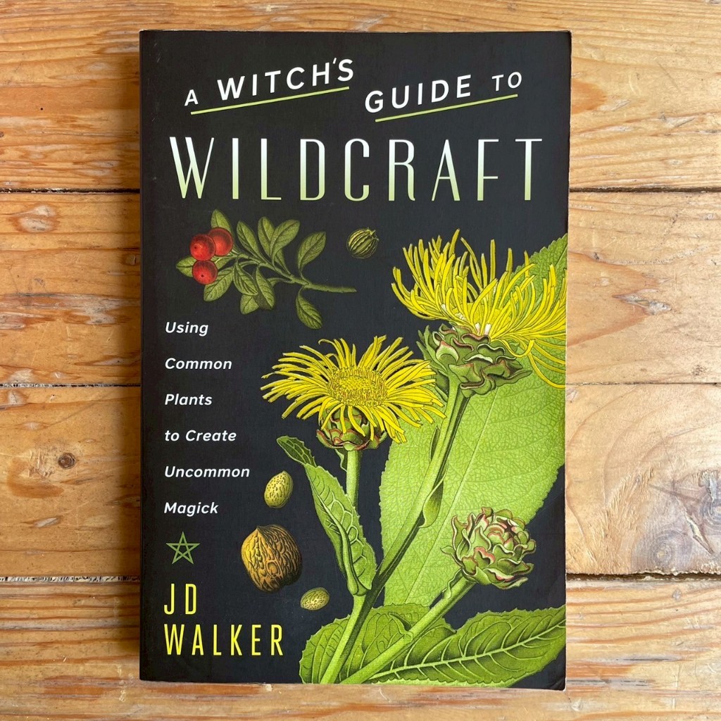 A Witch's Guide to Wildcraft-J.D. Hortwort (Used English Gekko Books ...