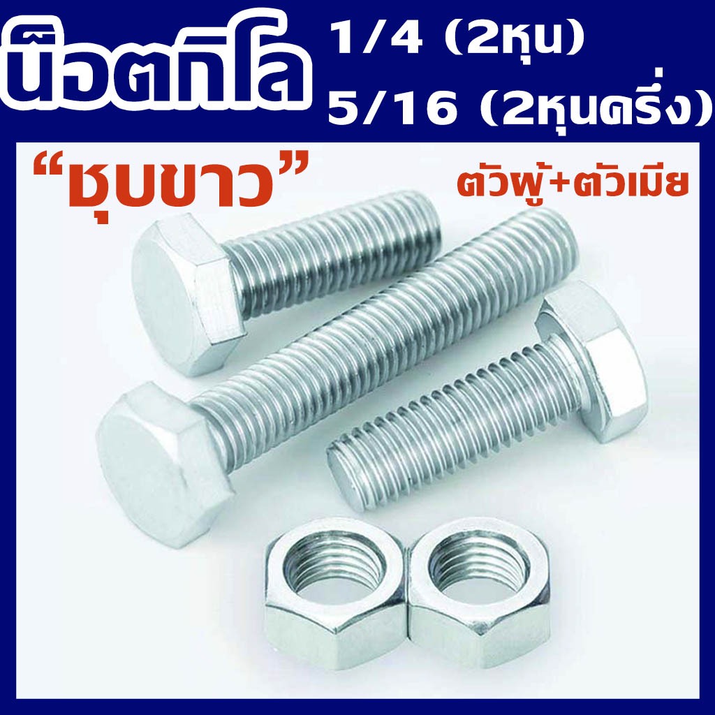 (1 Kg Pack) White Plated Kilo Nut Size Two Inch (1/4 ") And Half (5/16 ...