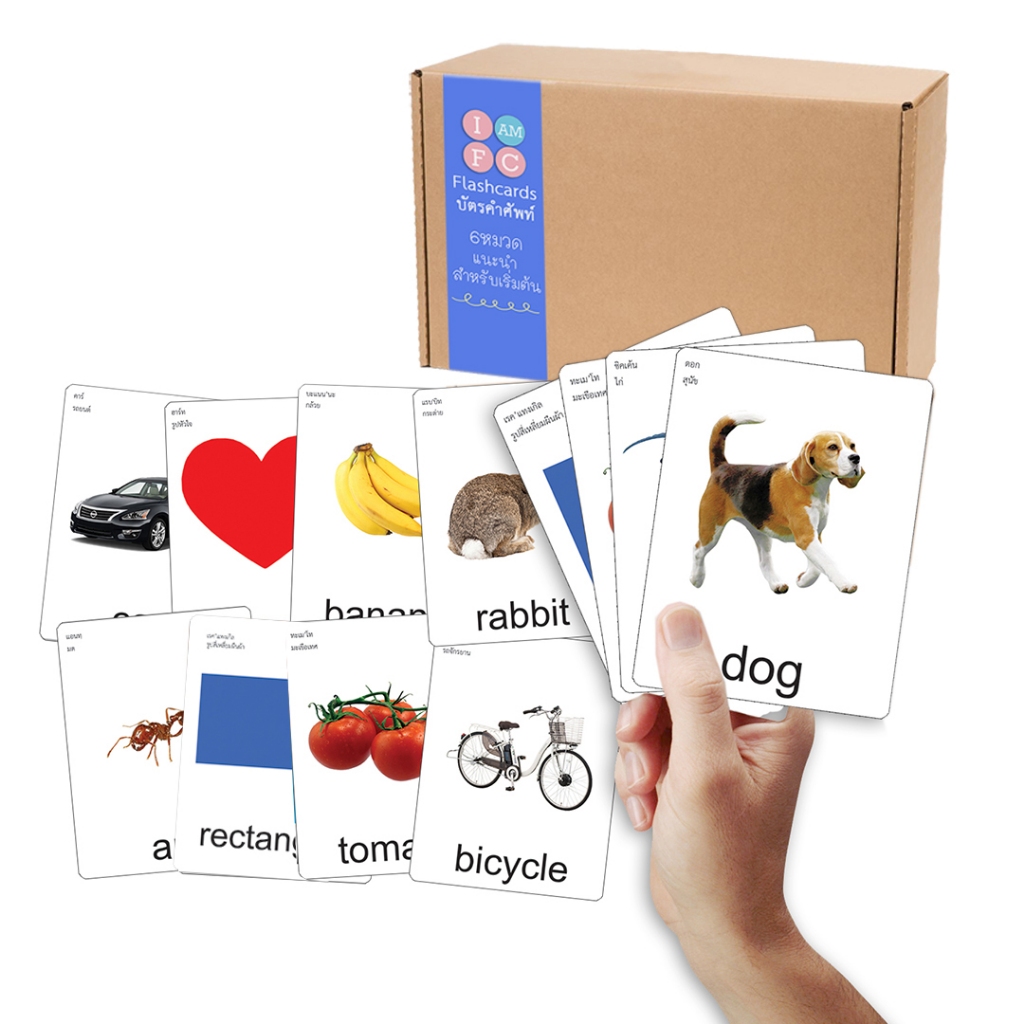 Complete 6 Category 75 Cards Set 1 Flashcards Flash Card 7x10cm 360 Gsm ...