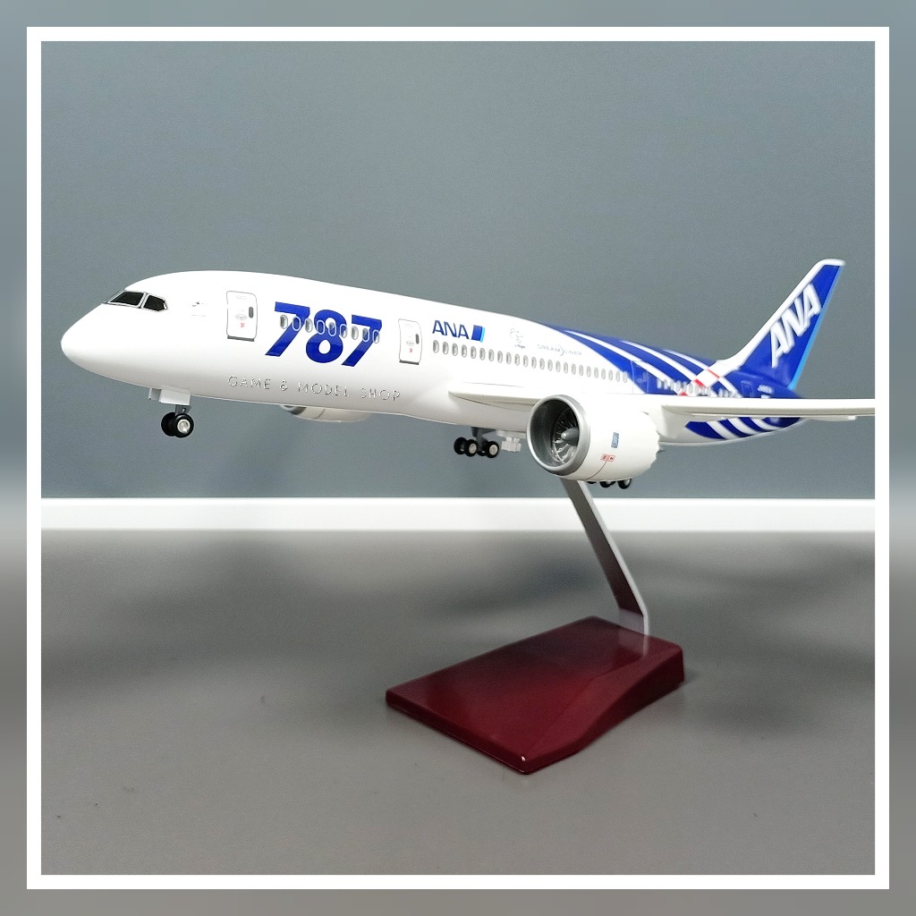 Boeing 787 Ana Plane Model Length 43 Cm. Scale 1:130 (With Light ...