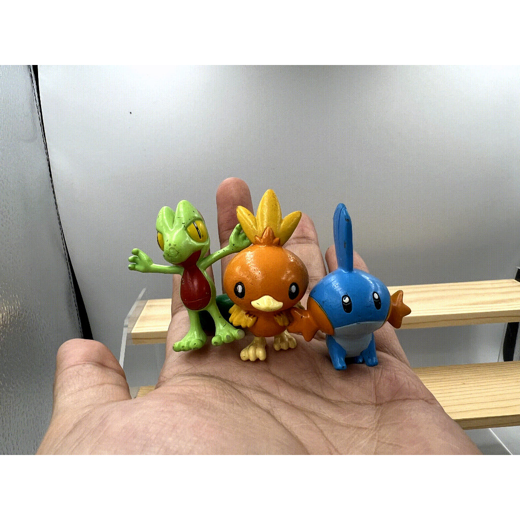 Pokemon Gen 3 Starters Set of 3 : Treeko Torchic Mudkip | Shopee Malaysia