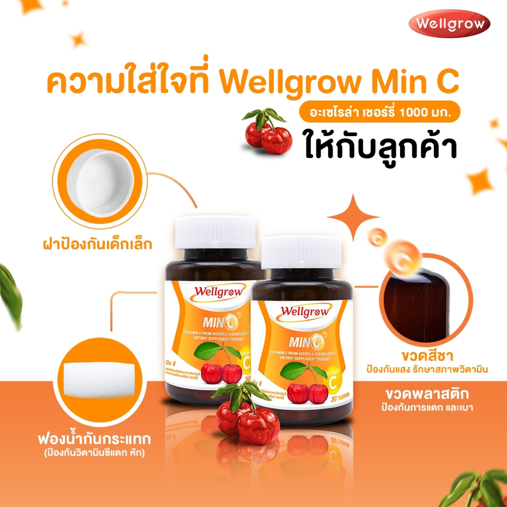WellGrow VitaMin C 1000mg Cherry Acerola Extract Contains 1 000 Mg Of C ...