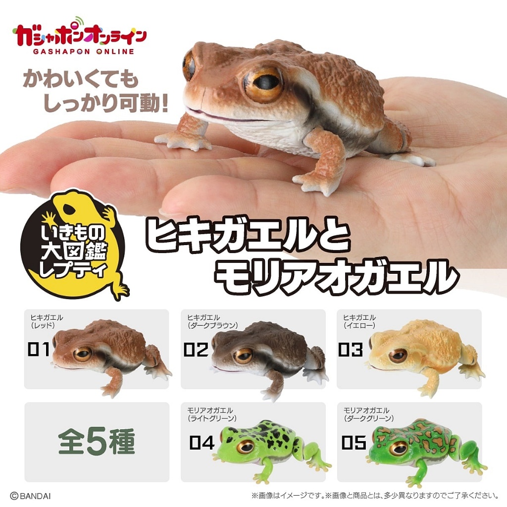 Japanese Gashapon Toad Tree Frog Mini Bandai Ikimono Encyclopedia Jp ...