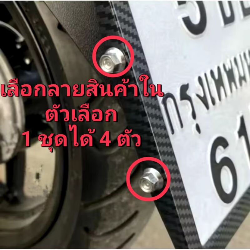 Stainless Steel License Plate Fixing Nut Choose A Pattern In Options ...