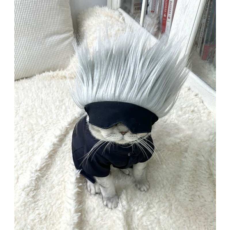 Gojo Cat Costume Comes With A Shirt Wig Glasses. | Shopee Malaysia
