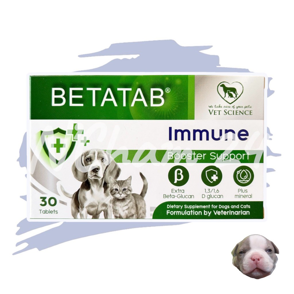 Betatab Contains 30 Tablets Per Box Vitamins To Strengthen Immunity ...