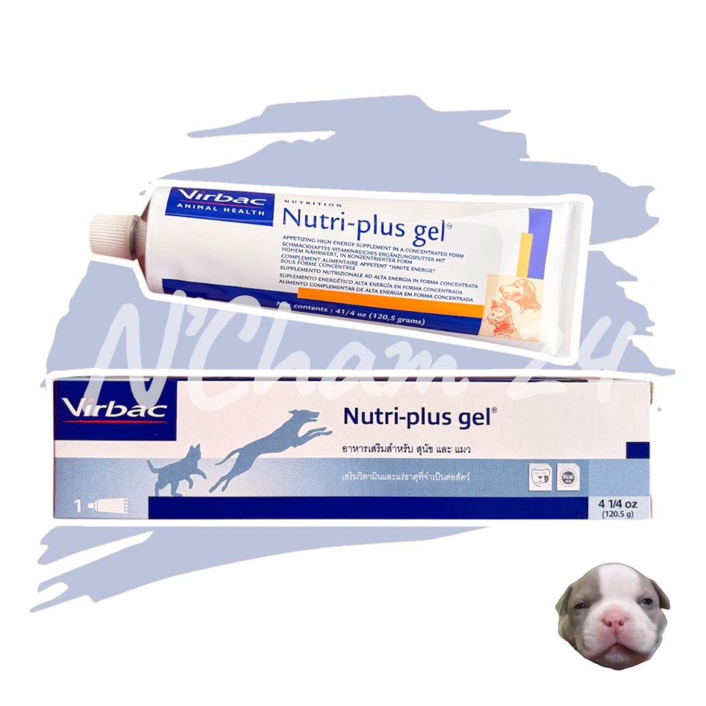 Nutri Plus Gel (Nutri Gel) Expires 07/26 Size 120.5g Dietary Supplement ...