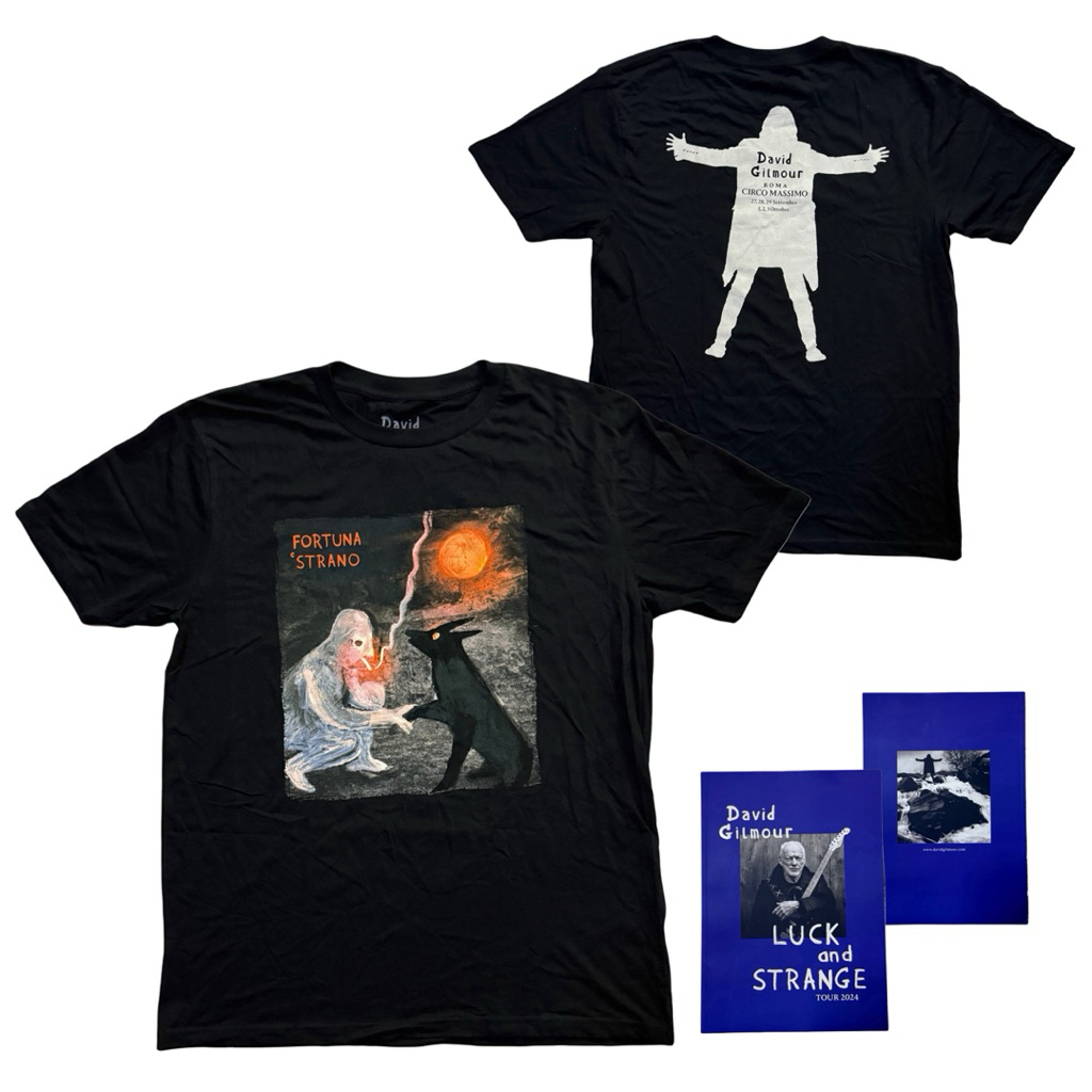 DAVID GILMOUR T-SHIRT LUCK & STRANGE BLACK CAT STRAT (BACK PRINT EX ...