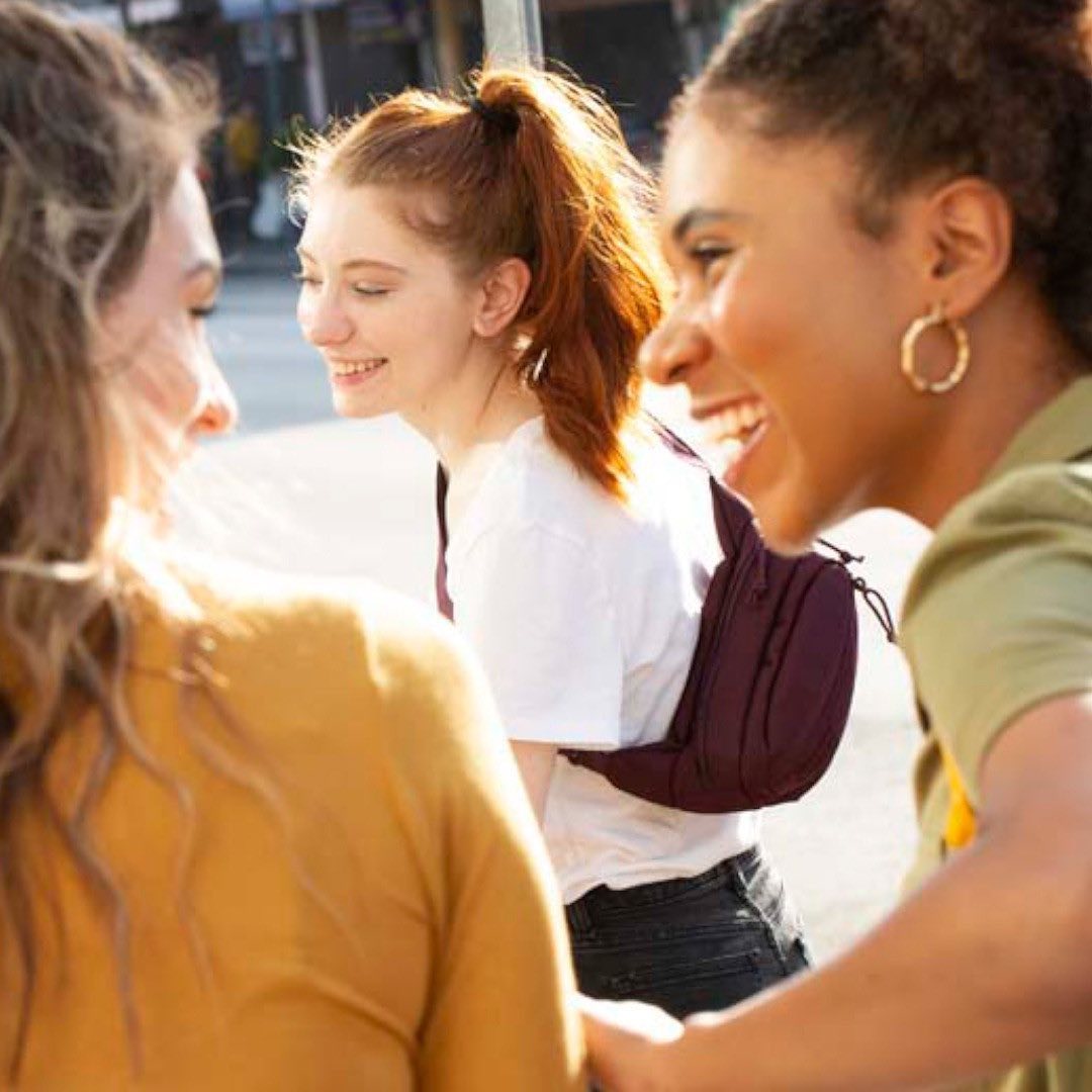 JanSport Model MONO FIFTH AVENUE Fanny Pack | Waist Bag-5 Colors To ...