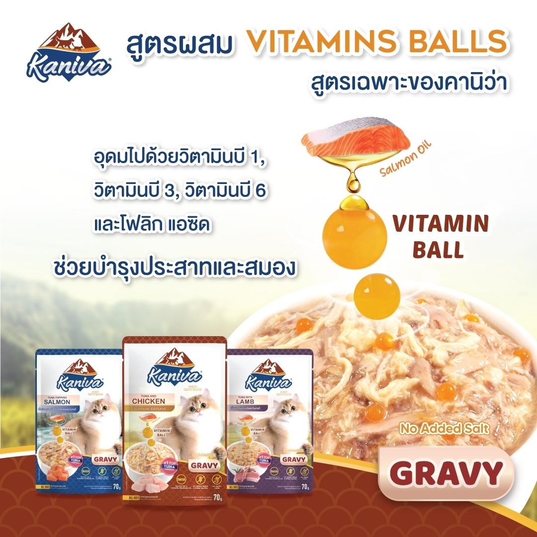 (48 Packs/Box) Kaniva Pouch In Gravy Wet Cat Food Tuna Meat Is Rich In ...