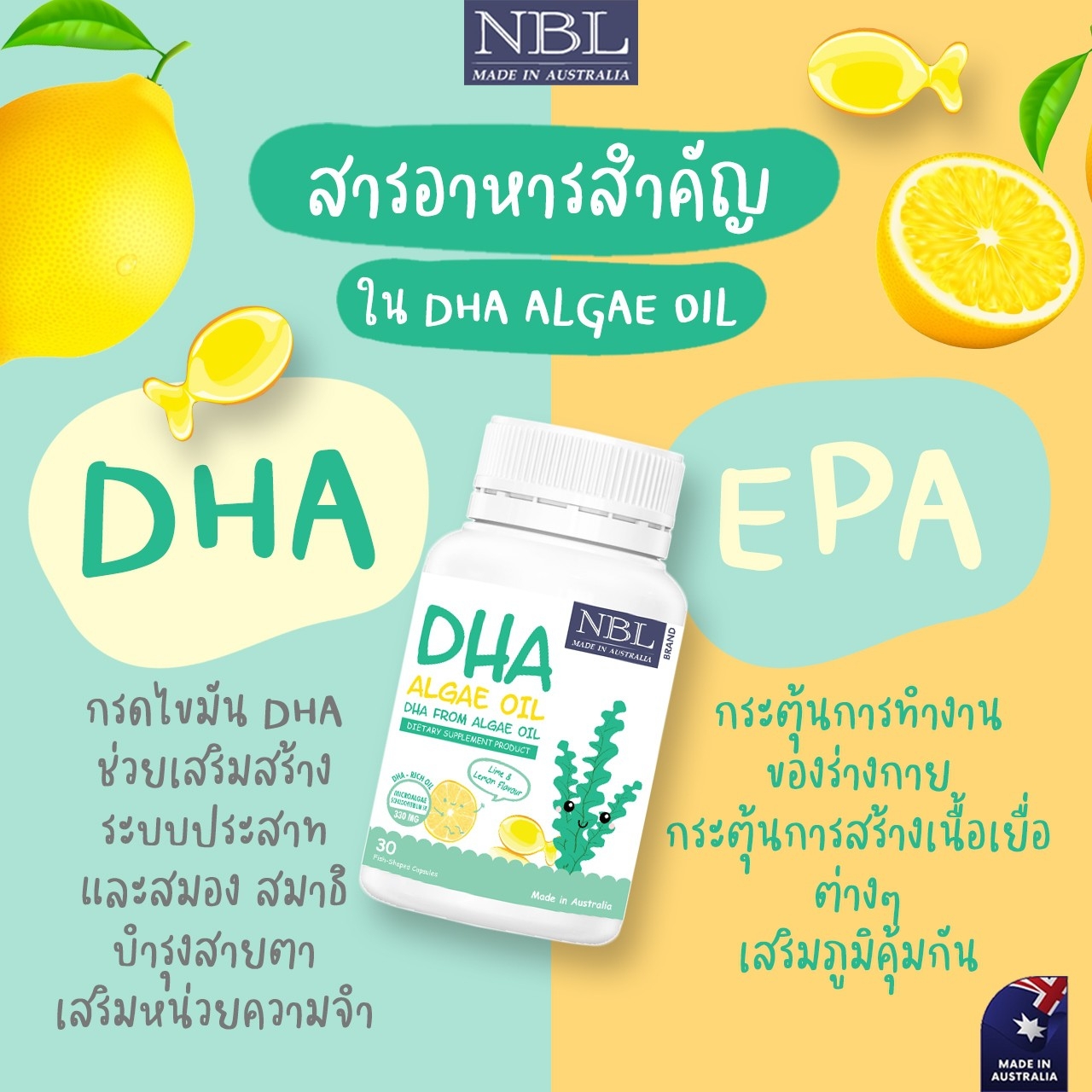 NBL DHA Algae Oil from 470 mg (30 Capsules) Seaweed Concentrate 470 mg ...