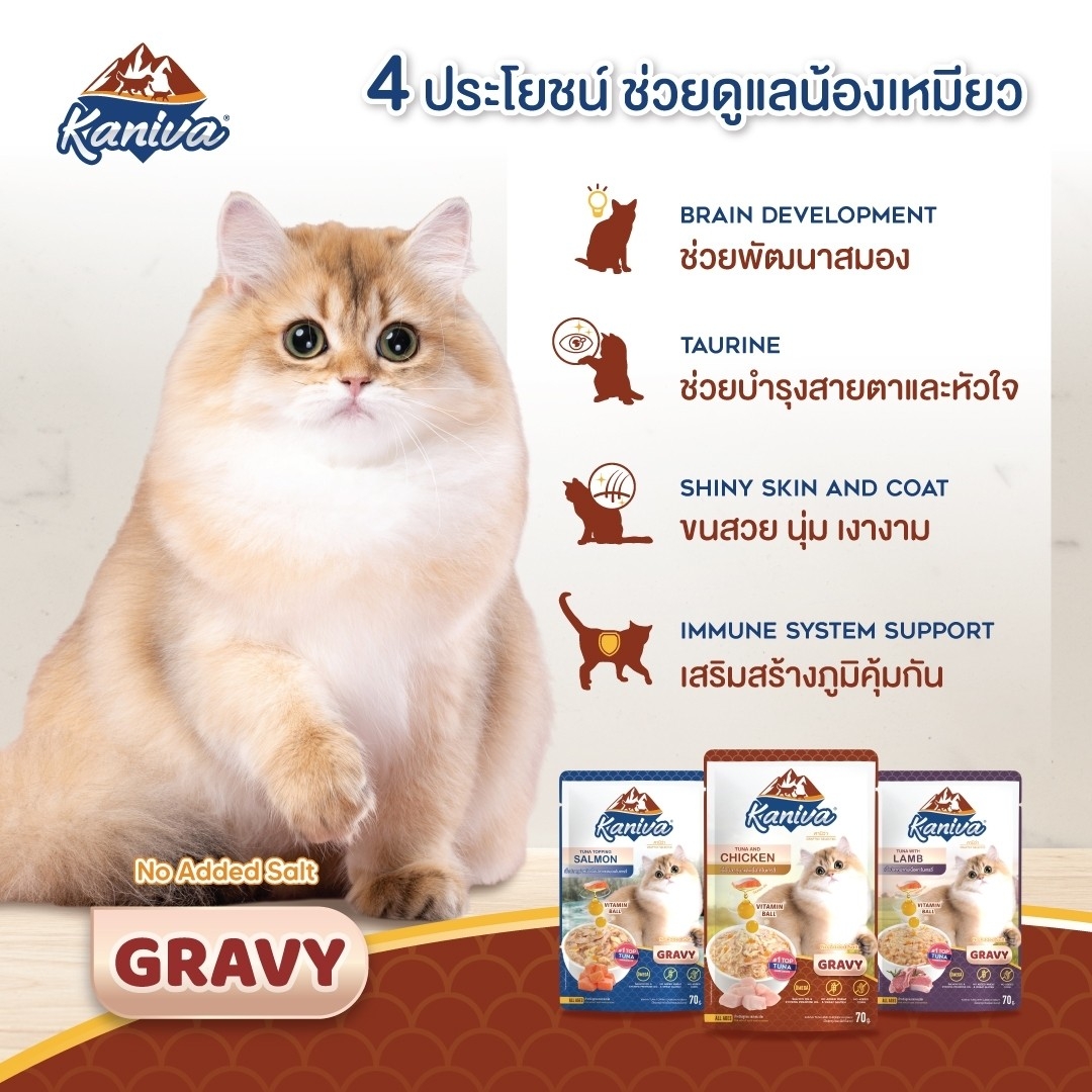 (48 Packs/Box) Kaniva Pouch In Gravy Wet Cat Food Tuna Meat Is Rich In ...