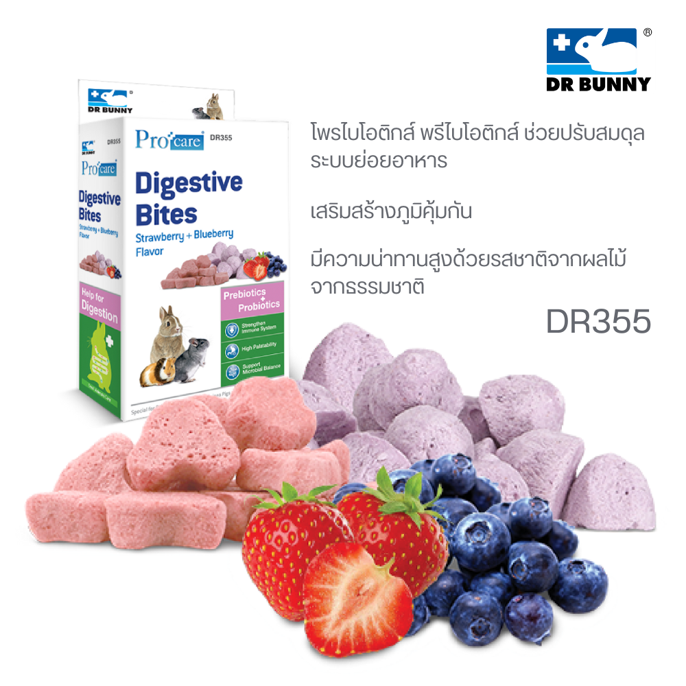 Dr.Bunny DR355 Digestive Bites Healthy Snacks For Rabbits And Small ...