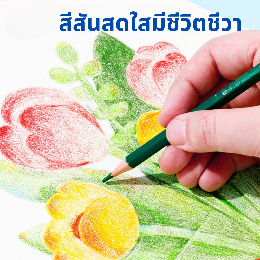 Bantex Colored Pencils Beautiful And Realistic There Are 3 Sizes 12/24 ...