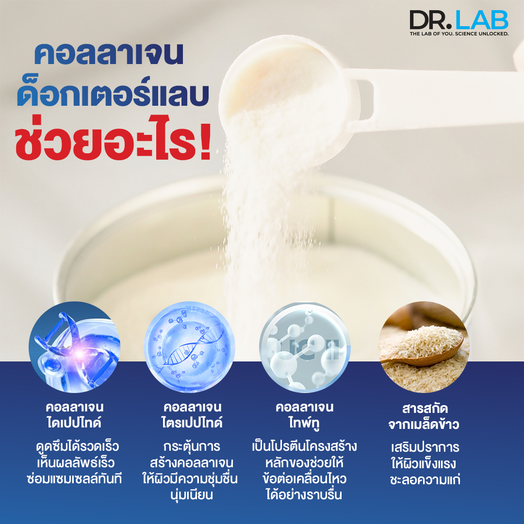 DR.LAB Collagen The Doctor's Nourish The Knee Reduce Osteoarthritis ...