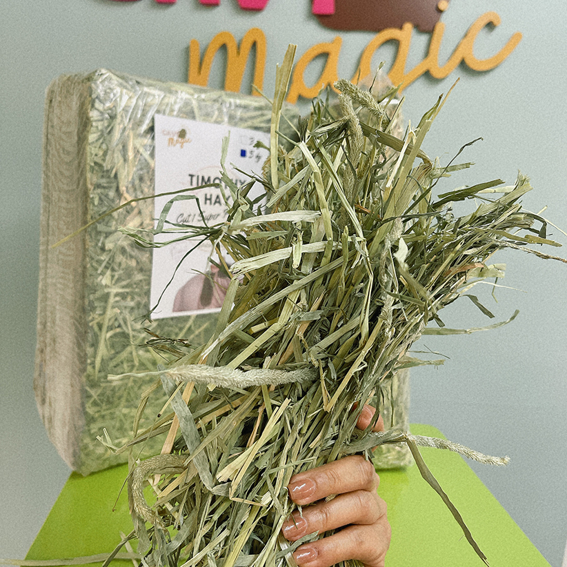 New Timber Timothy Cut Grass 1 Super Premium Gatsby Rabbit 3 kg And 5 ...