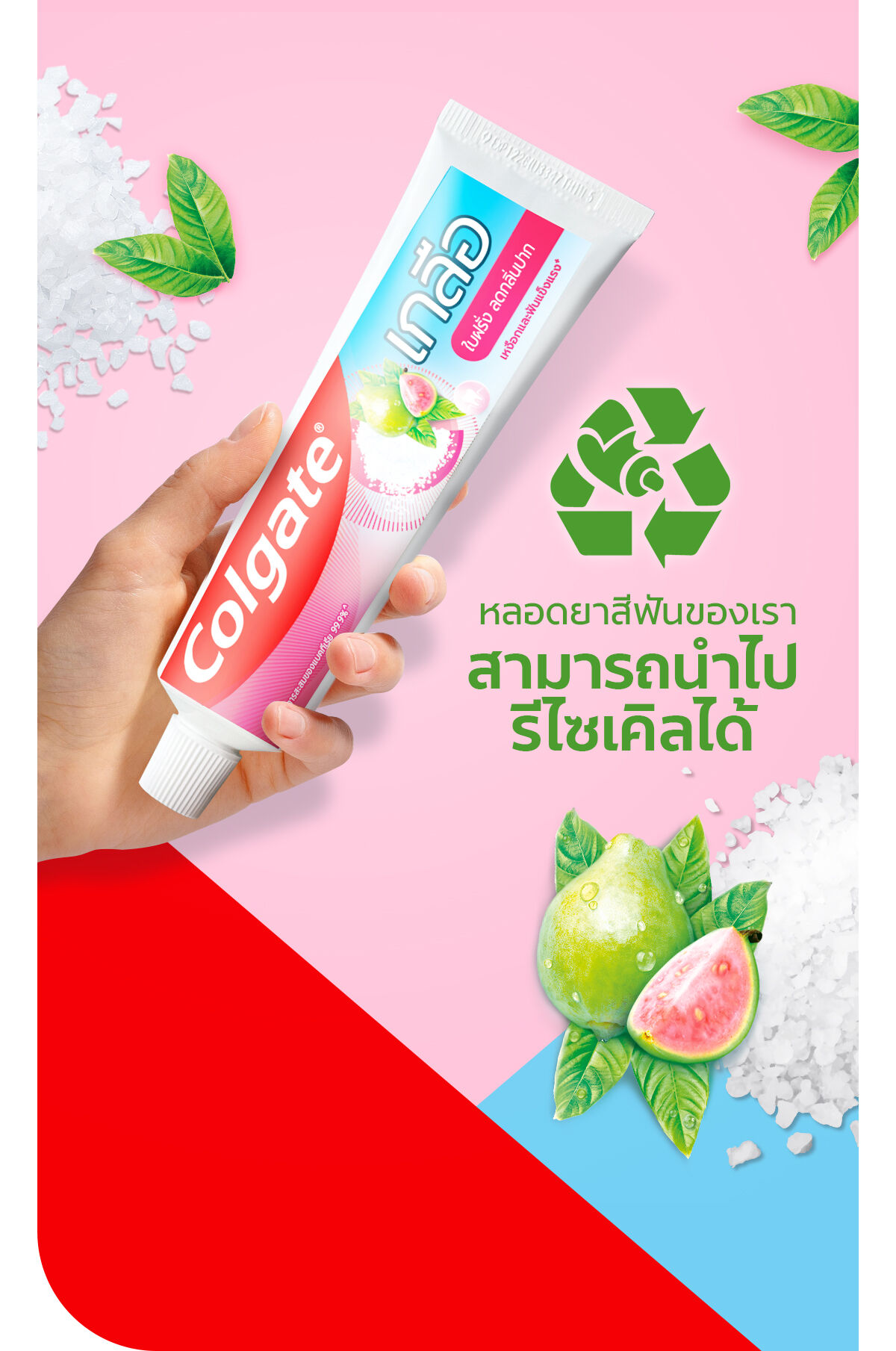 (Pack × 2) Colgate Toothpaste Salt Guava Leaf 150g With Formula 150g ...