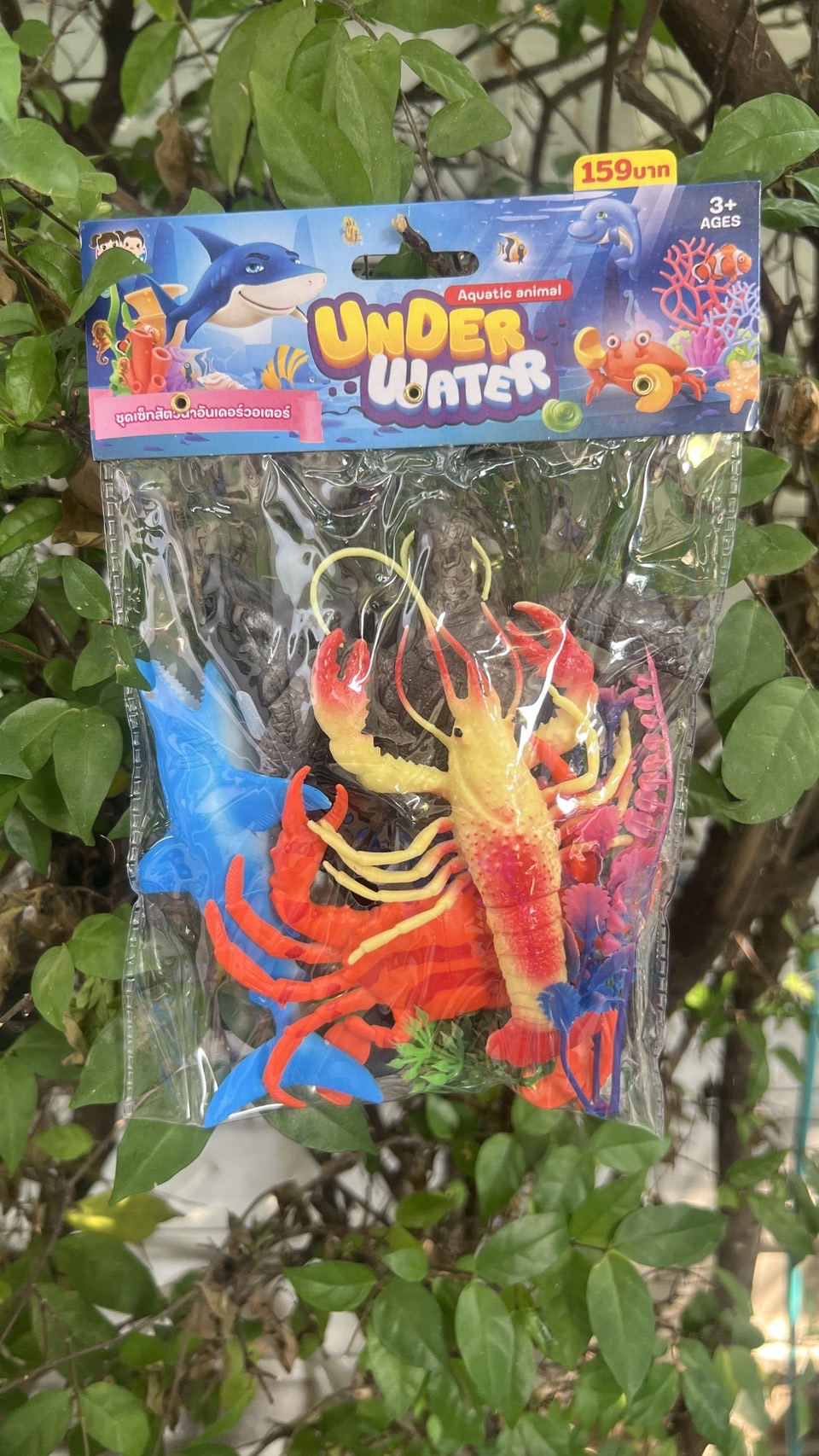 Set Of 5 Aquatic Animal Models Lift The Toys For Children Animals ...
