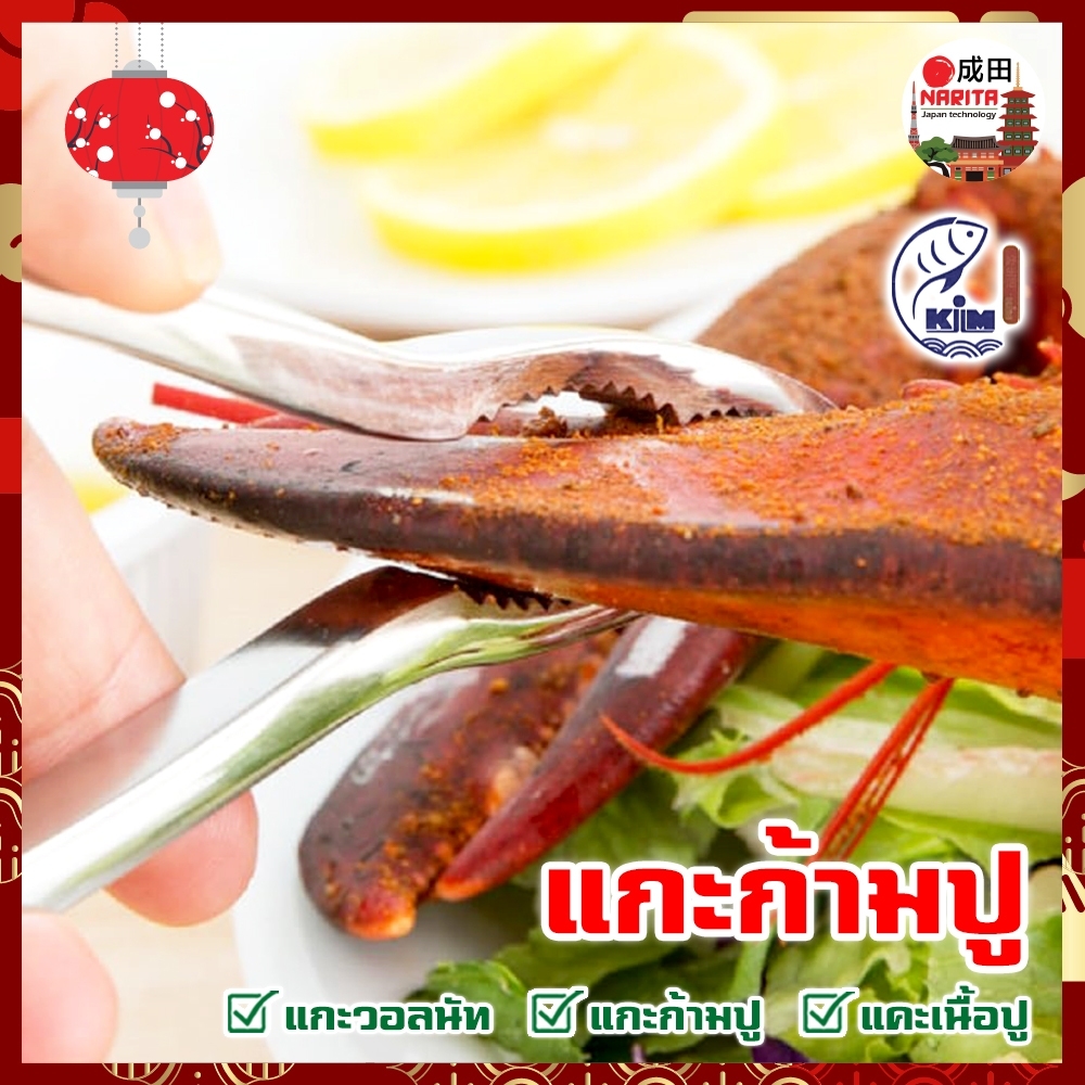 STAINLESS STEEL Walnut Shell Clamp Crab Claw + Extractor Complete Set ...
