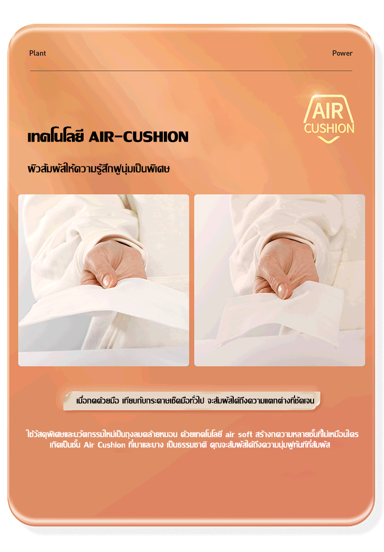 [20 Packs] Botare Air-cushion Deluxe Comfort Tissue 4-Ply Lift Pack 360 ...