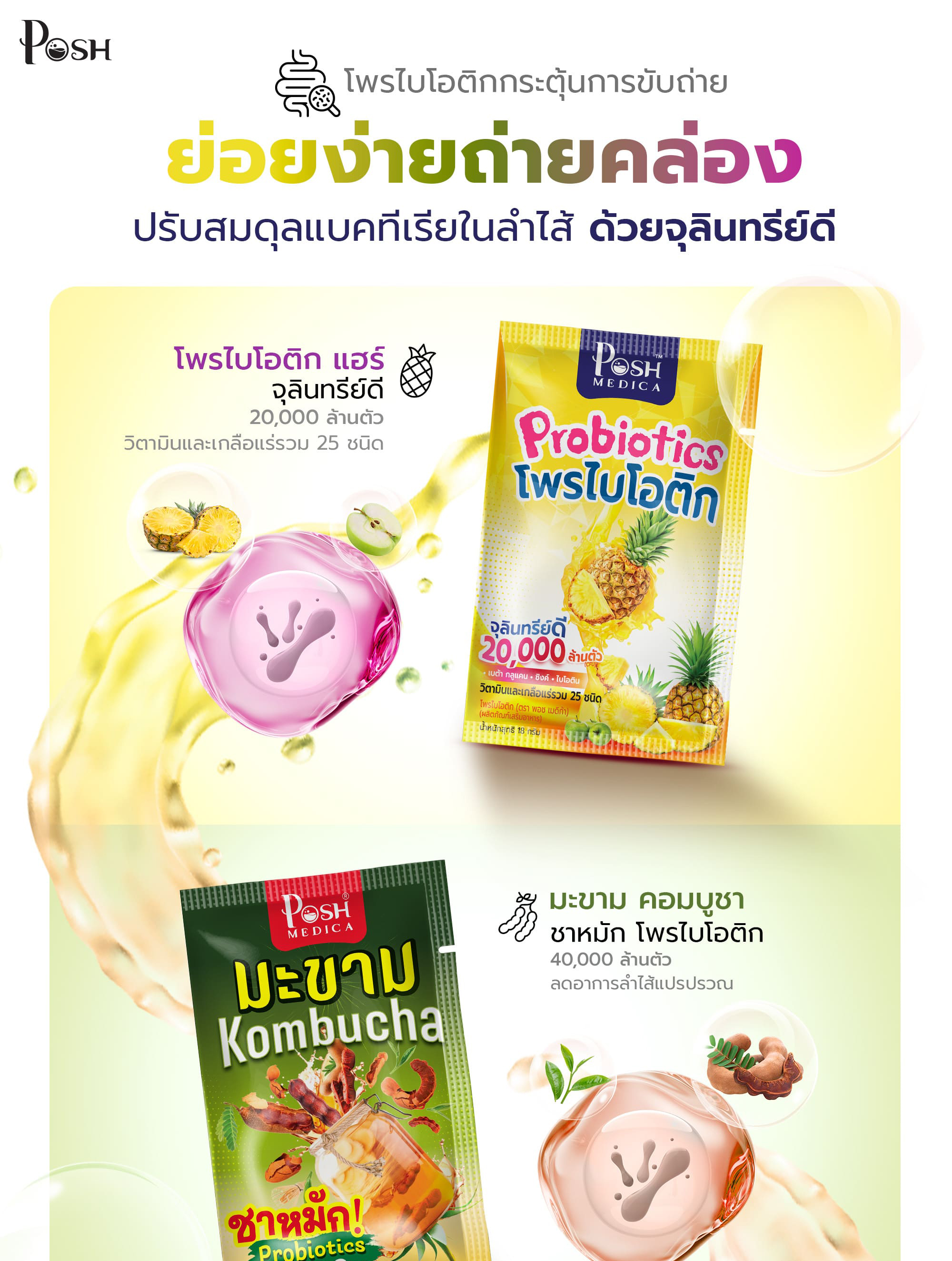 Posh Medica Tamarind Fiber/Lemon Fibre/Pineapple Fiber/Tangerine Fiber ...