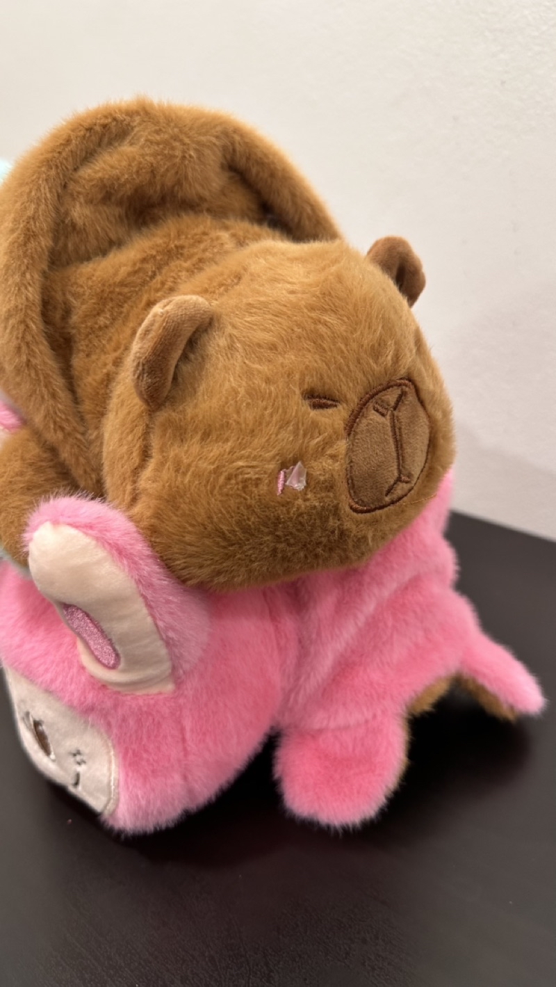 Cabinet Stuffed toy Labubu Doll Capybara plush | Shopee Malaysia