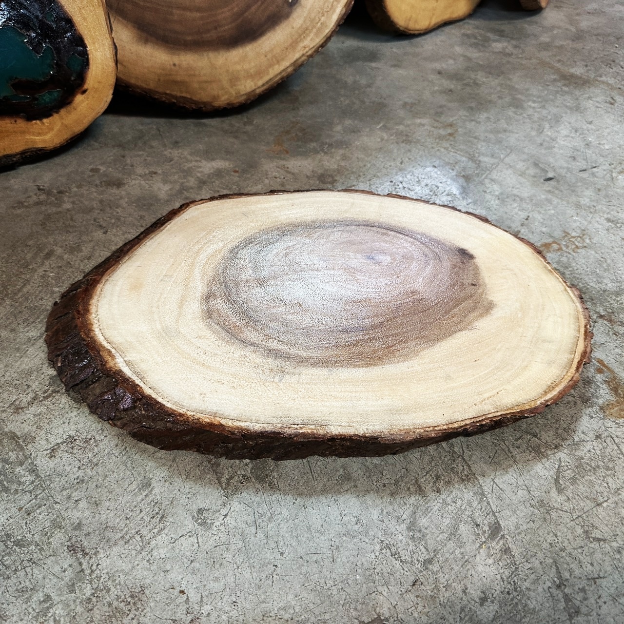 Chamchuri Wood Planks With Shell Independent Shape Width 22-25 cm ...