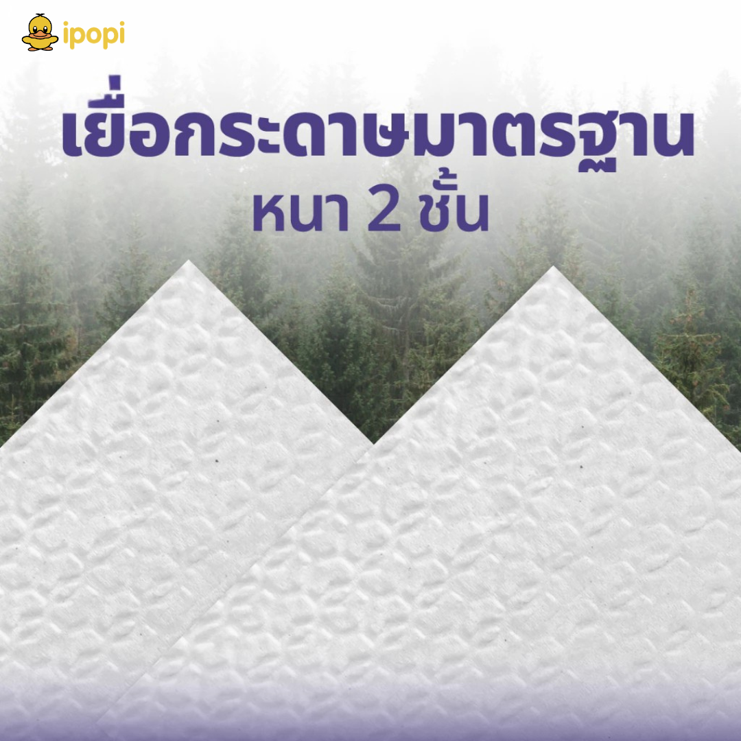 ipopi Toilet Paper Roll (4 Pack Contains 24 Rolls) 2-Layer Thick Soft And Absorbent Water Well ...