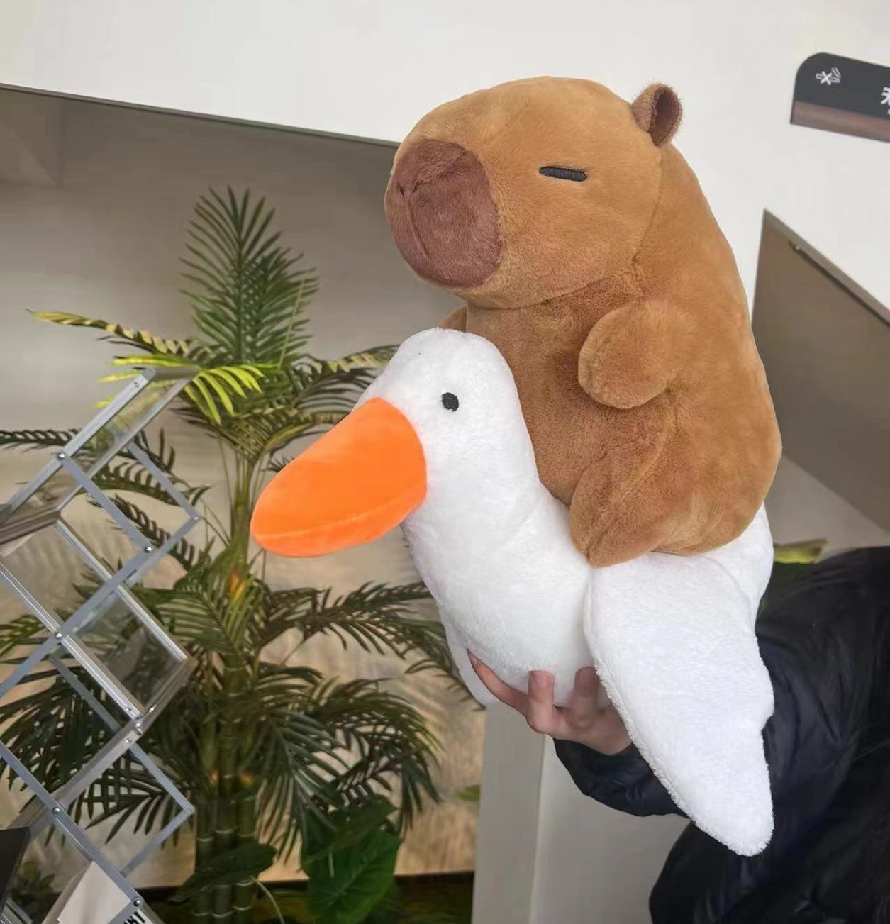 Capybara Doll Soft And Cute Creative Design Capibara Riding Big White ...