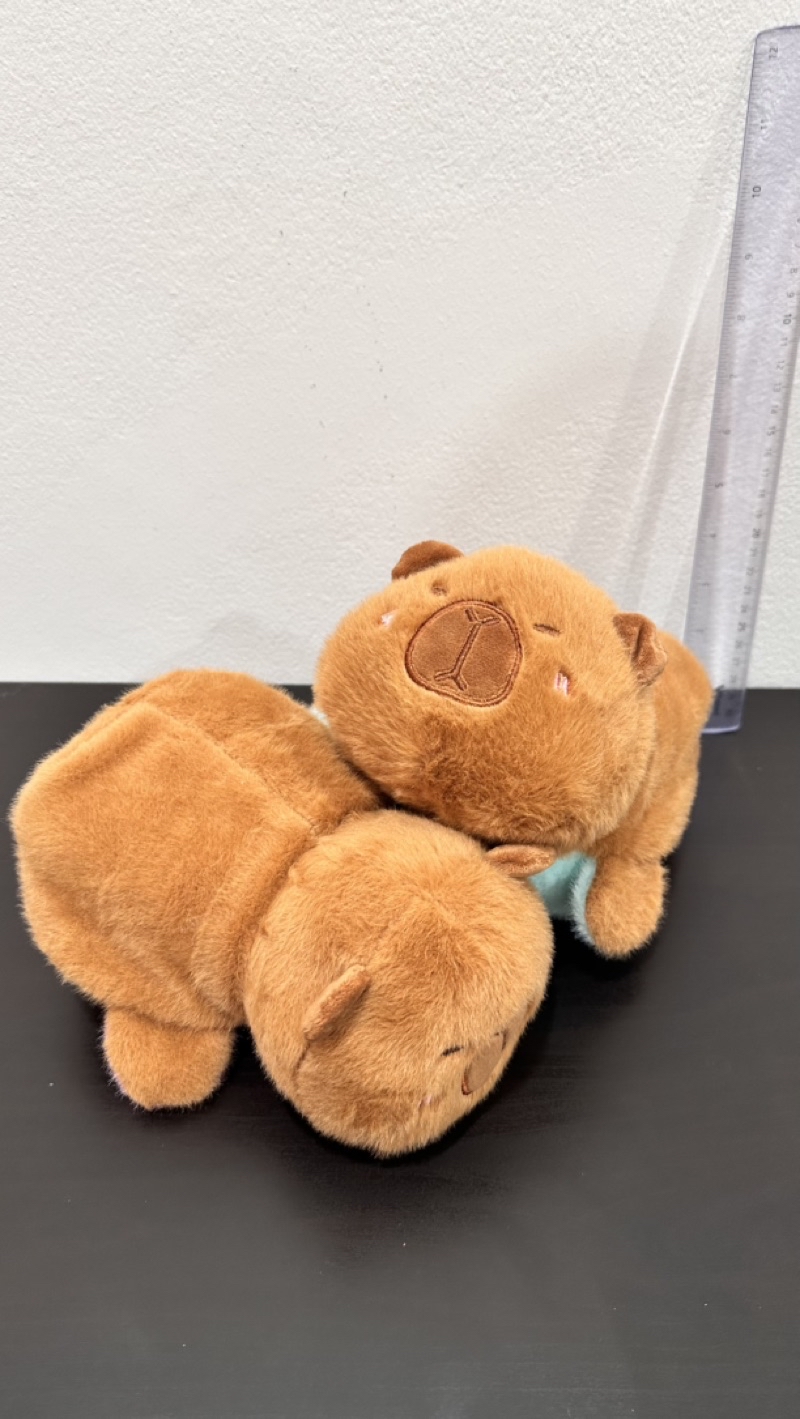 Cabinet Stuffed toy Labubu Doll Capybara plush | Shopee Malaysia