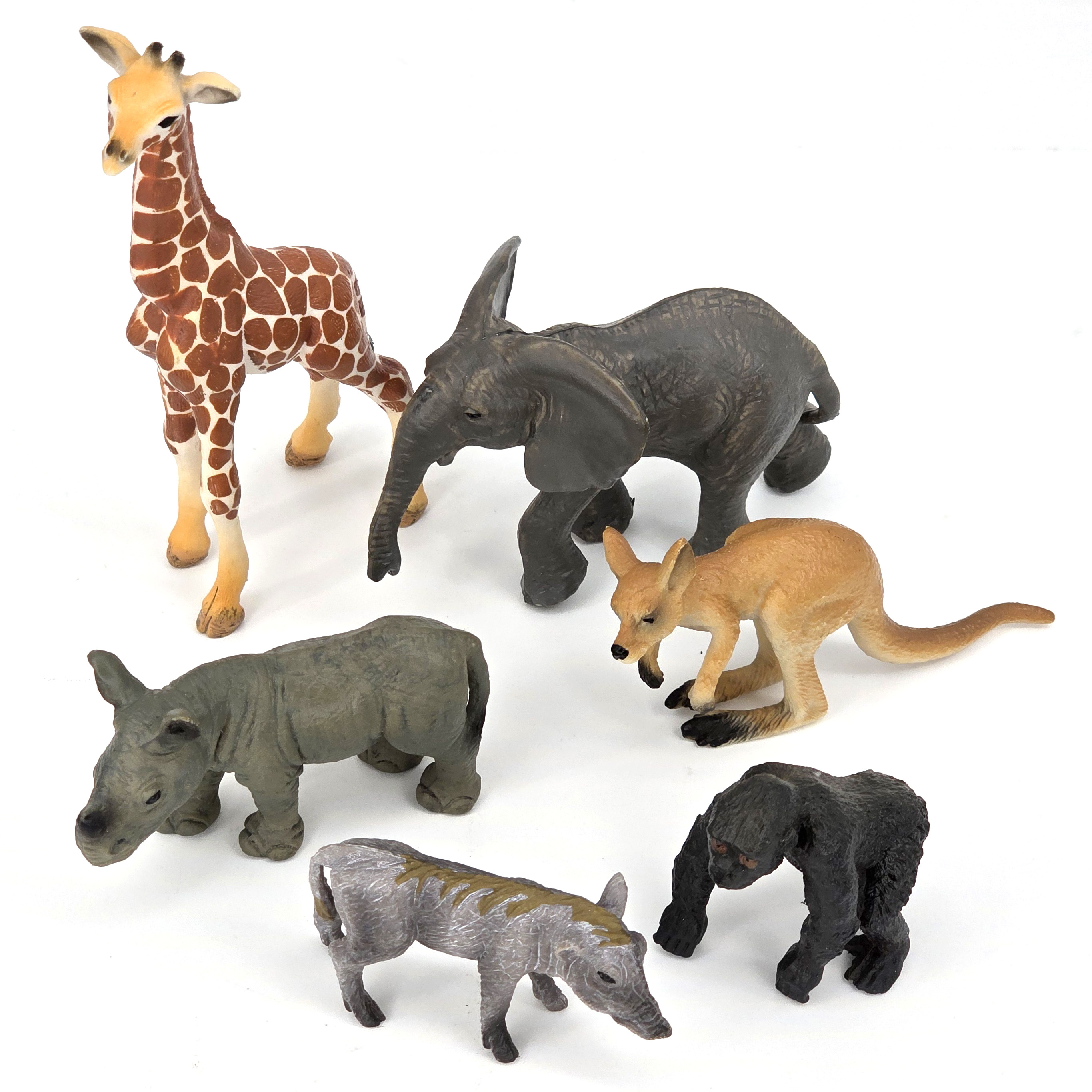 34 Animal Ball Toys With Double Flash Cards With Handle Box Nerdy Owl ...