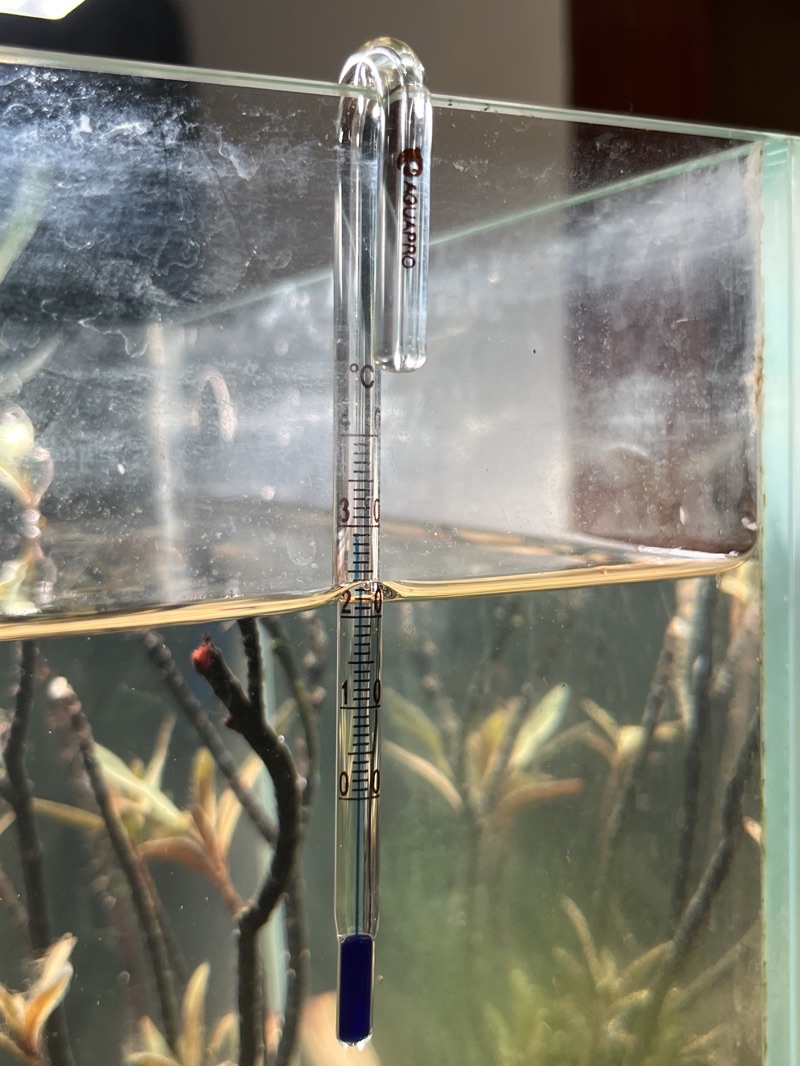 Mercury Aquapro Aquarium Water Temperature Measurement 12mm | Shopee ...