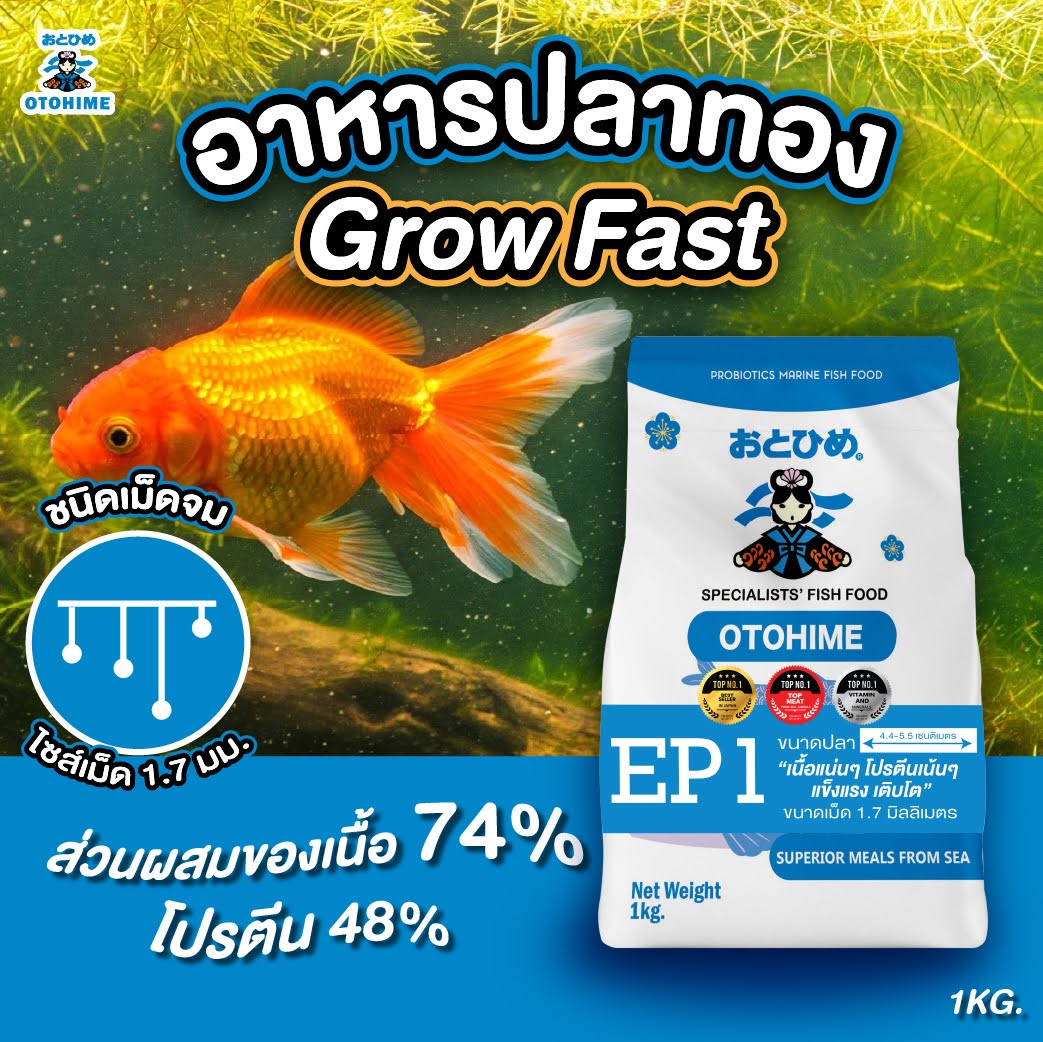 Ornamental Fish Food Goldfish Otohime Model Ep1 Grain Size 1.7mm. Grow ...