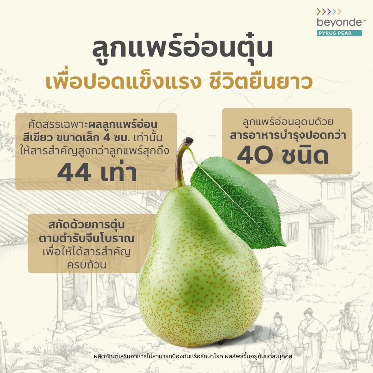 Beyond PYRUS PEAR (PYRUS PEAR) Braised Young And Chinese Herb Extract ...