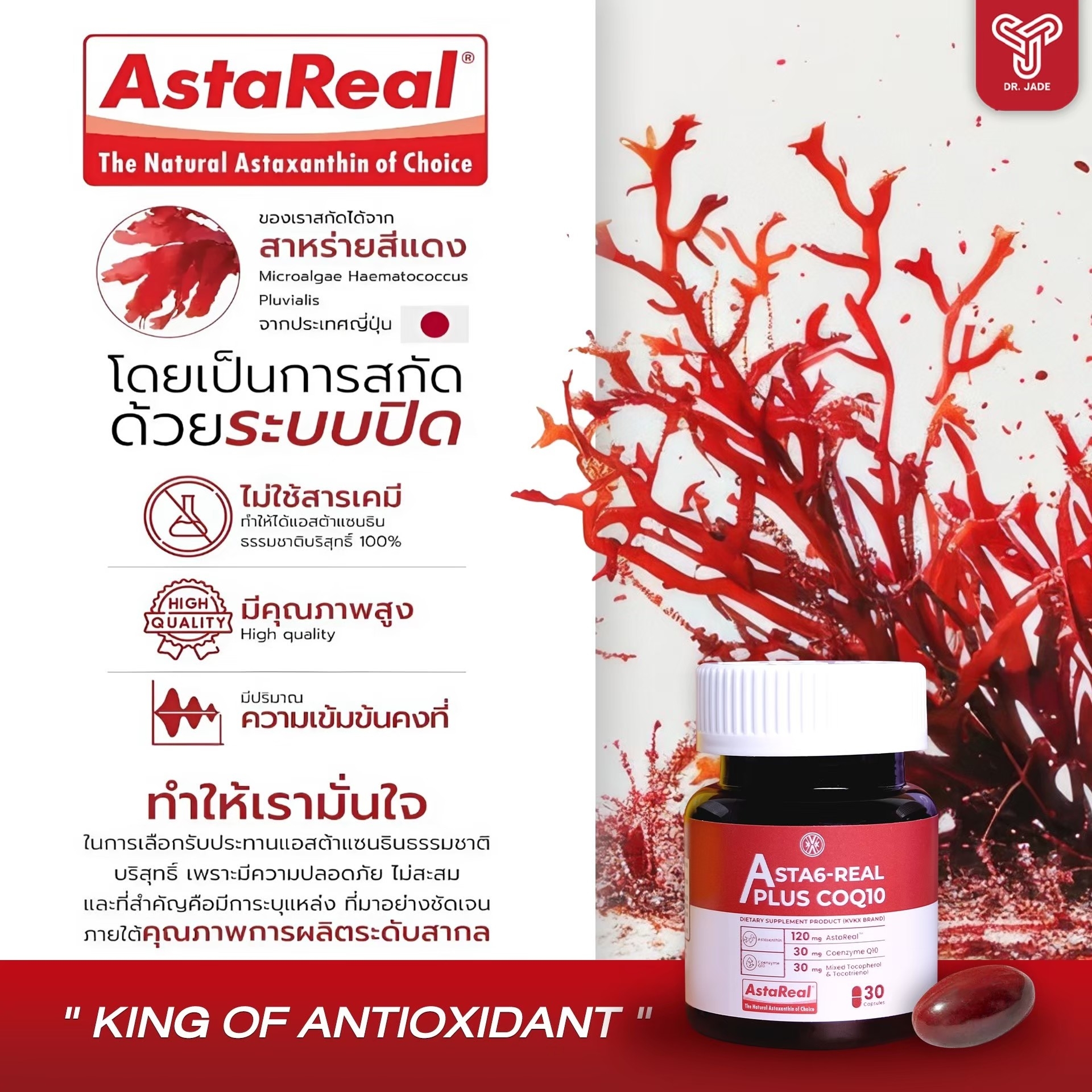 DR.JADE OFFICIAL SET Nourish The Liver Anti-Inflammatory Astaxanthin ...