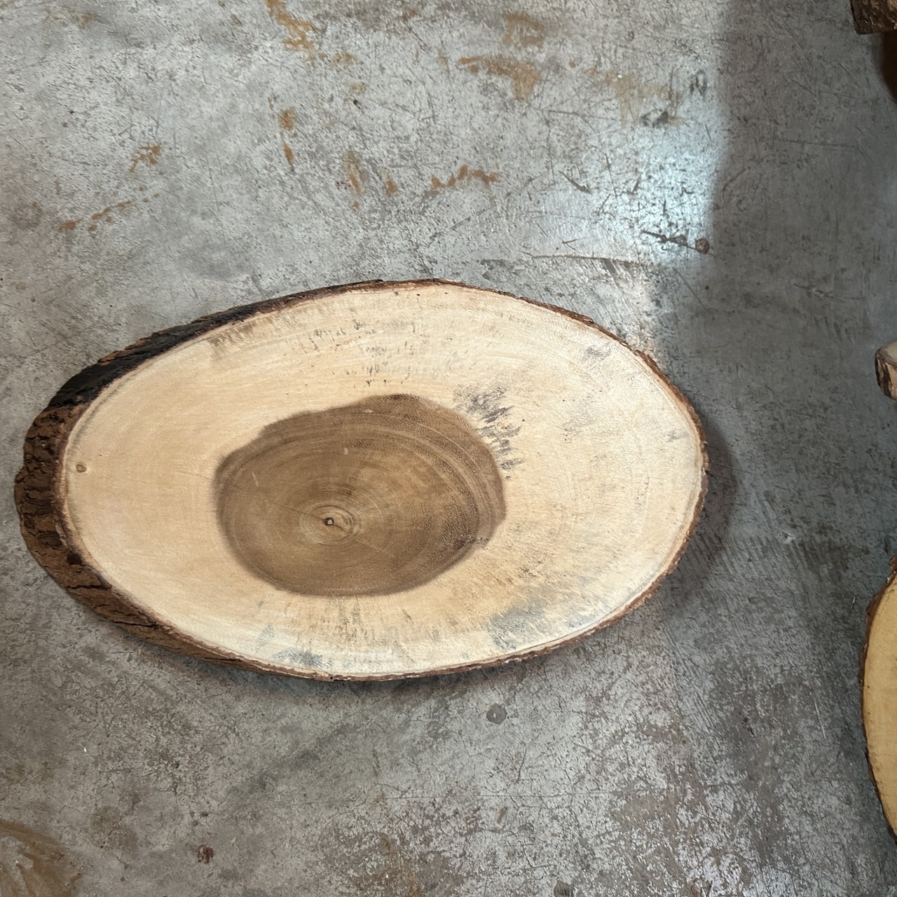 Chamchuri Wood Planks With Shell Independent Shape Width 22-25 cm ...