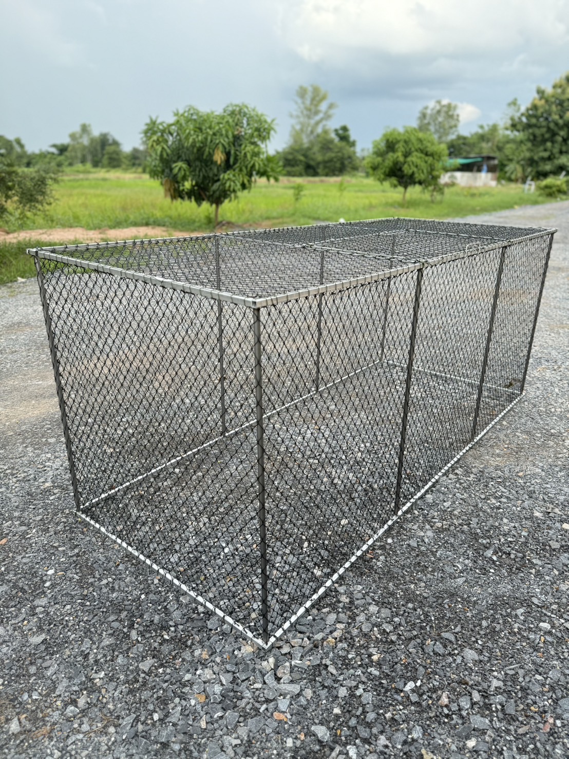 4-Inch Steel Chicken Treadmill 1 Pair Free 2 Mats (Black Mesh ...