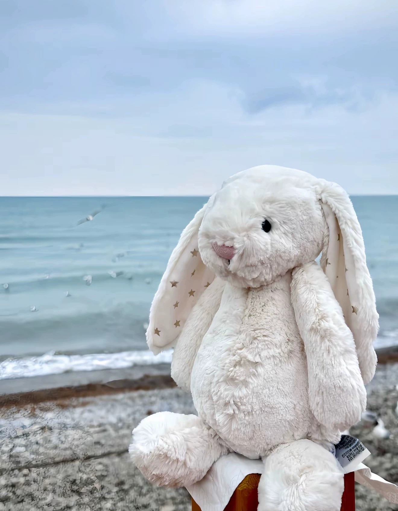 Jellycat Shimmer Bunny 100% Original Jellycat stuffed toy Soft and ...