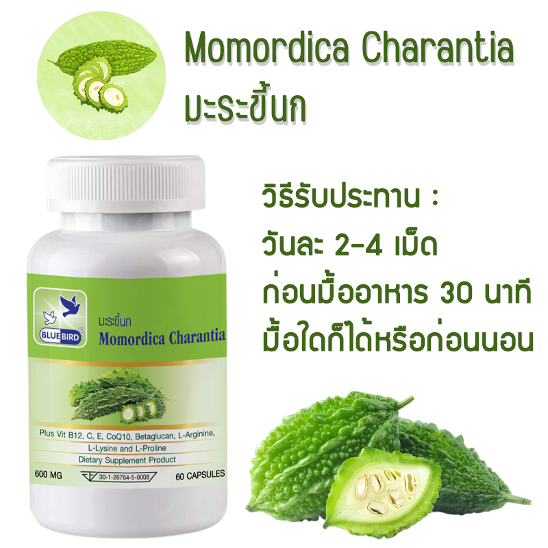 Momordica Charantia Blue Bird Brand Bitter Melon Size 600 Milligrams 60 ...